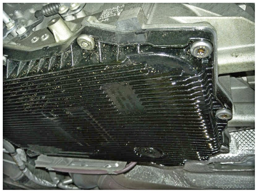 Leaky Cat | 2019-07-29 | Vehicle Service Pros